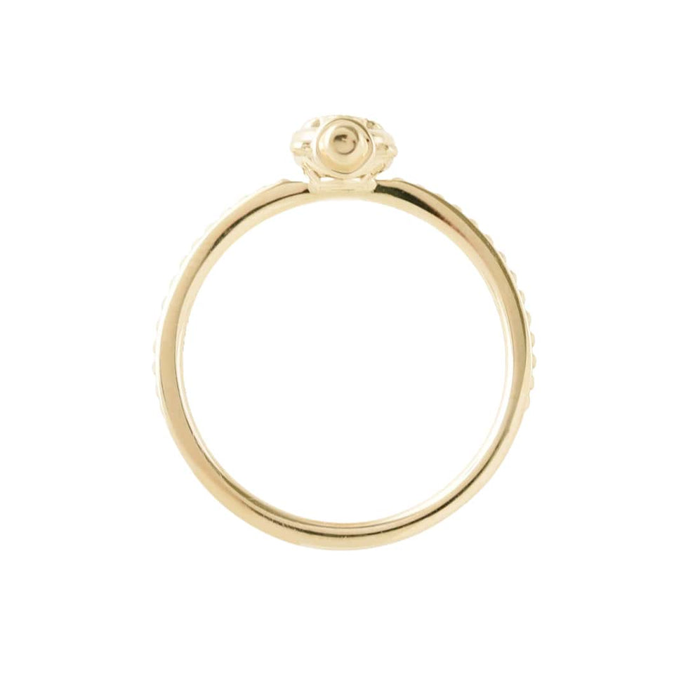 【Harry Potter Collaboration / 10K Yellow Gold】Felix Felicis Ring【Japan ...